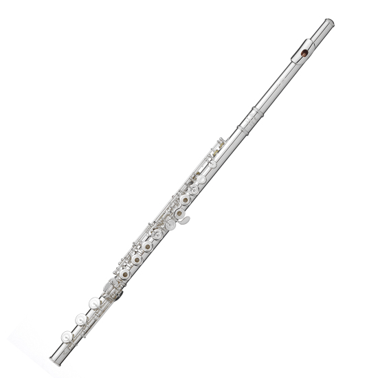 Trevor James flute - TJ handmade flutes